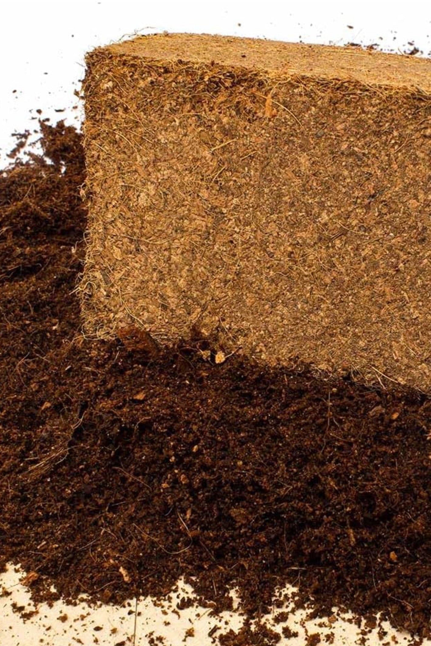 How to use Coir as a Garden Compost – Norman & Vera